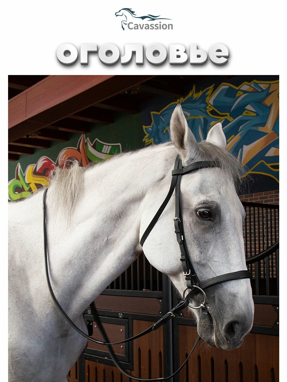 Уздечка для лошадей CAVASSION с удилами, поводьями и PVC, черная, размер S