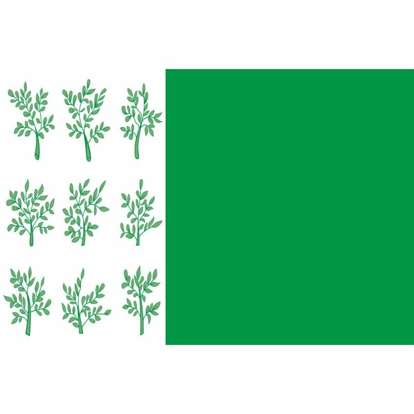 Флаг Богородицка 135x90 см.