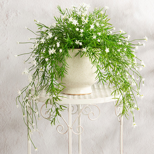 Искусственный подвесной куст Мидлтон Стоун 43 см, белый, Summer Deco, 5010077