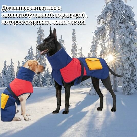 Зимняя одежда для собак, подходящая для средних и крупных собак породы доберман