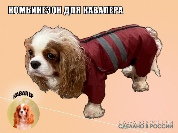 Комбинезон-дождевик для КАВАЛЕР-КИНГ-ЧАРЛЬЗА-СПАНИЕЛЯ суки, повышенной прочности, со светоотражающими полосами, цвет бордо