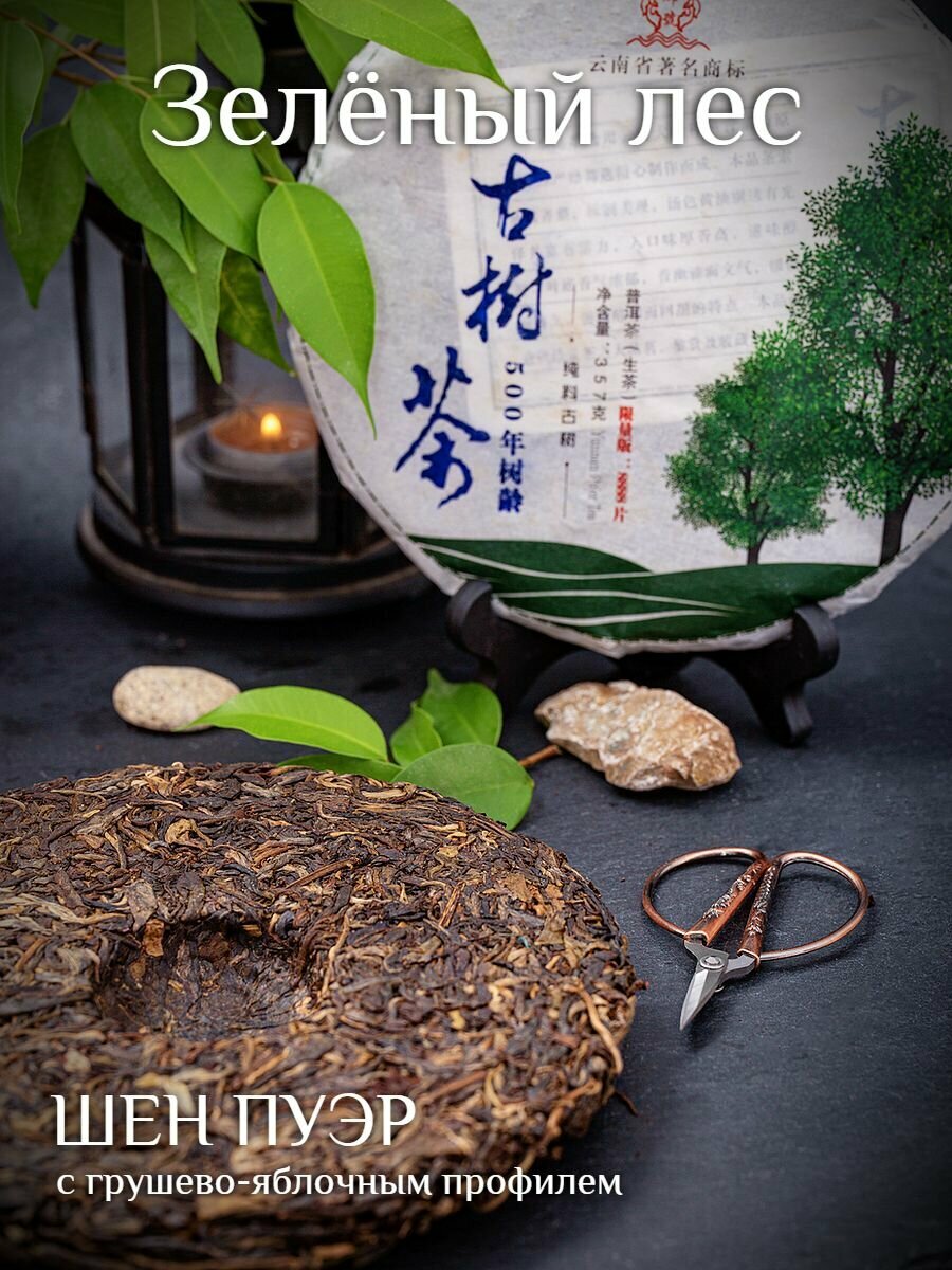 Шен пуэр Зеленое дерево 2016 Гу Цзюн Хао / Gu Jun Hao / 357 г
