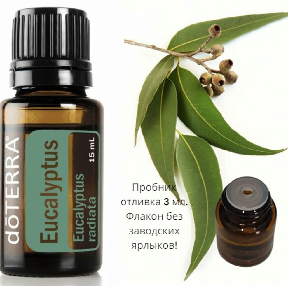 Дотерра эфирное масло Эвкалипт, 3 мл, пробник