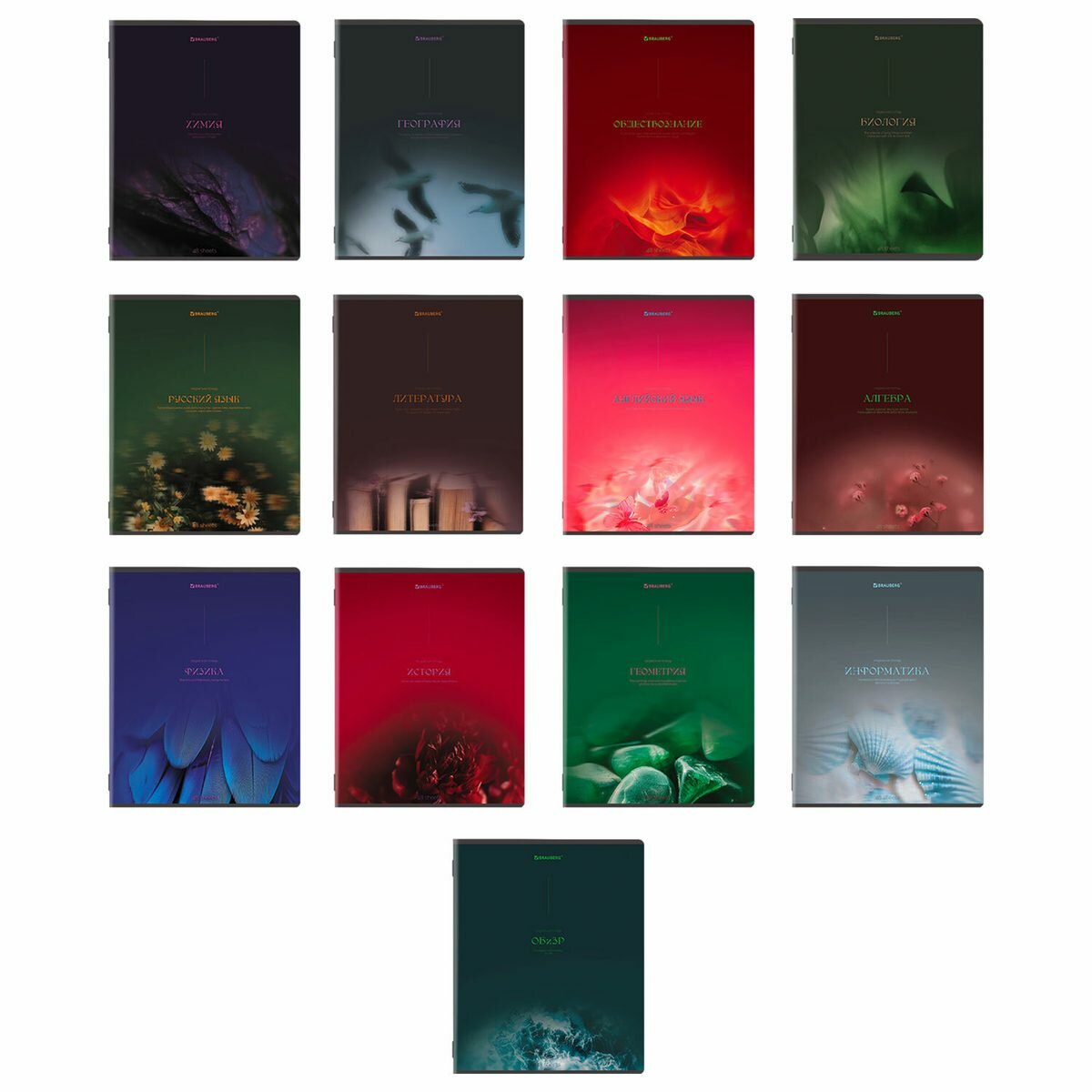 Набор предметных тетрадей Brauberg "Peaceful" (А5, 48л, клетка/линейка, 13 предметов, soft touch) (405182)