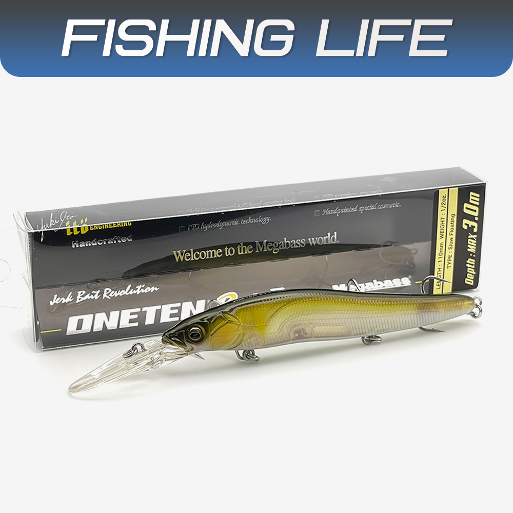 Воблер Megabass ONETEN R+2 (110мм, 14гр, slow floating) - PM ITO AYU