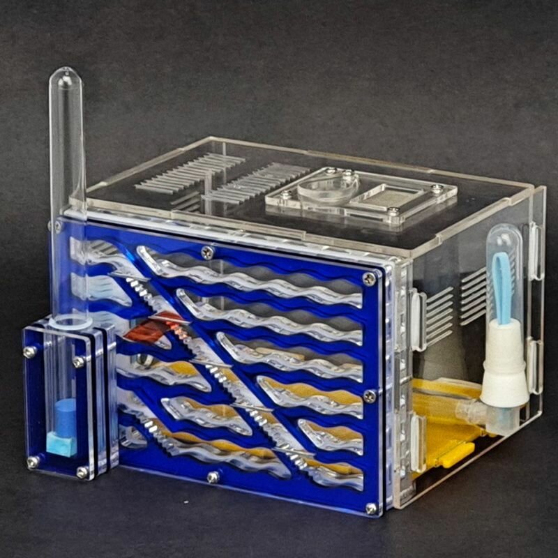 Муравьиная Ферма Большая