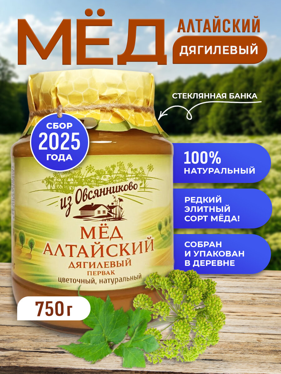 Мед Дягилевый Алтайский натуральный Из Овсянниково натуральный сбор 2025 Мёд цветочный в стеклянной банке 750г.