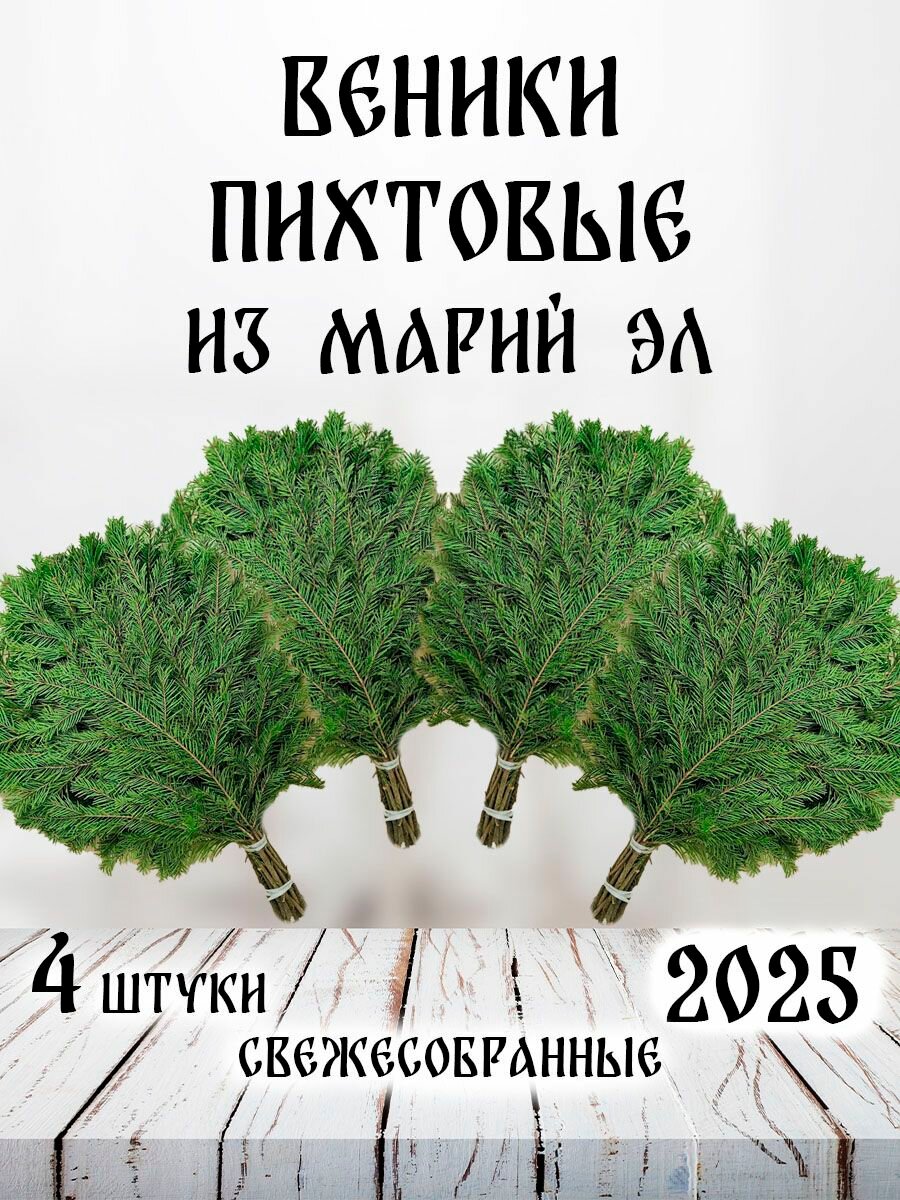 Пихтовые веники для бани из Марий Эл в коробке 4 штуки 2025