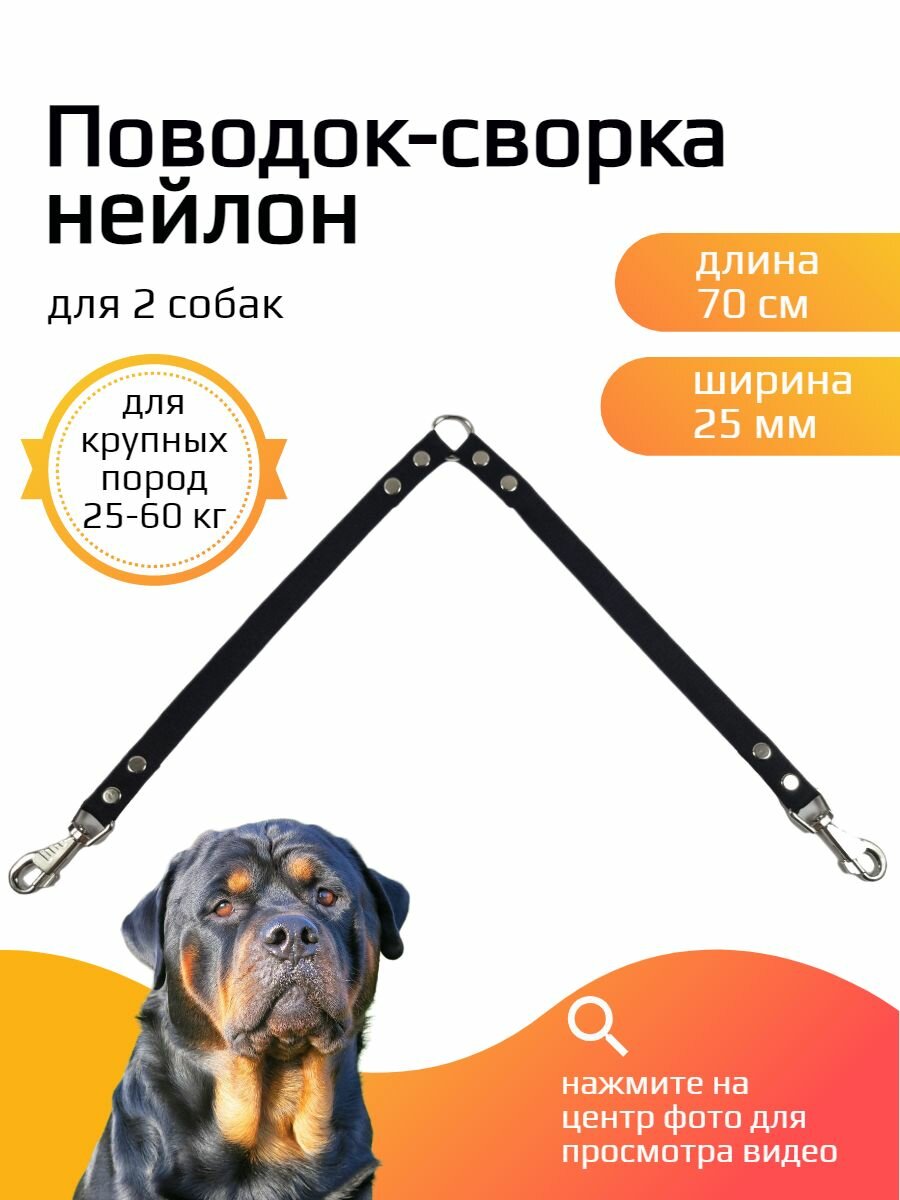 Поводок-сворка Хвостатыч для двух собак нейлон 70 см х 25 мм (черный)
