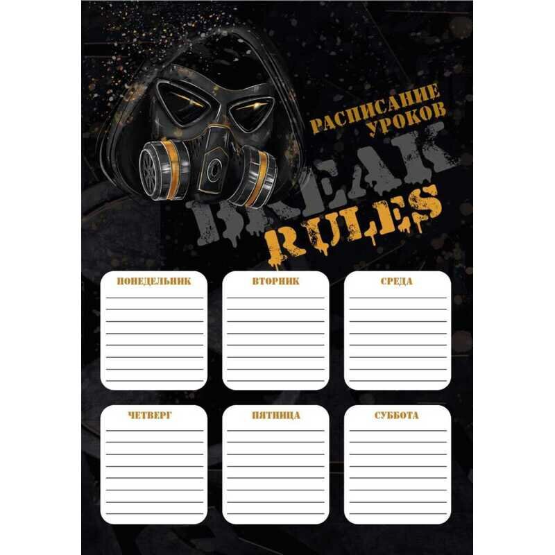 Расписание уроков темный райтер 210x297мм, мелован. картон 235г 63539/К
