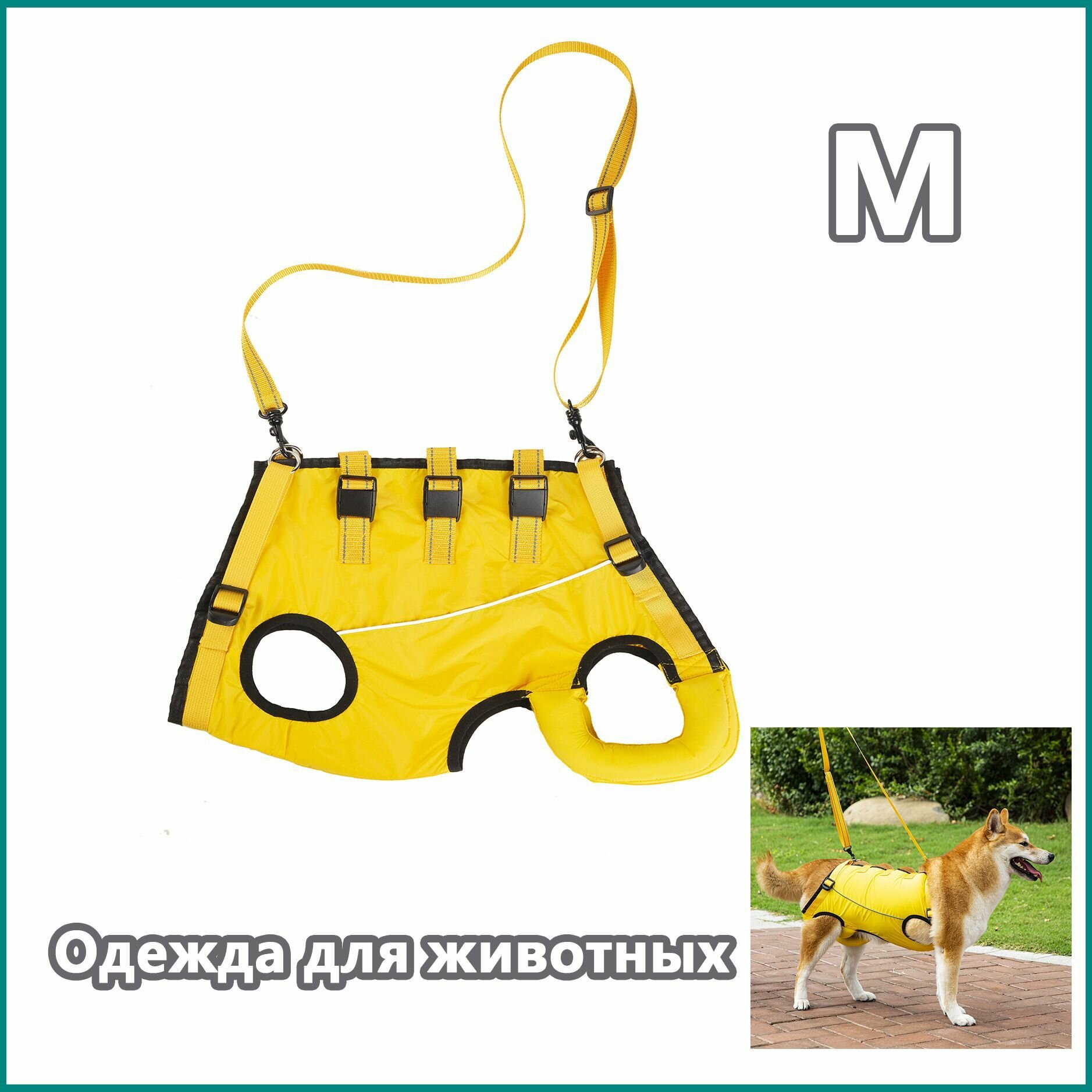 Автобокс для животных