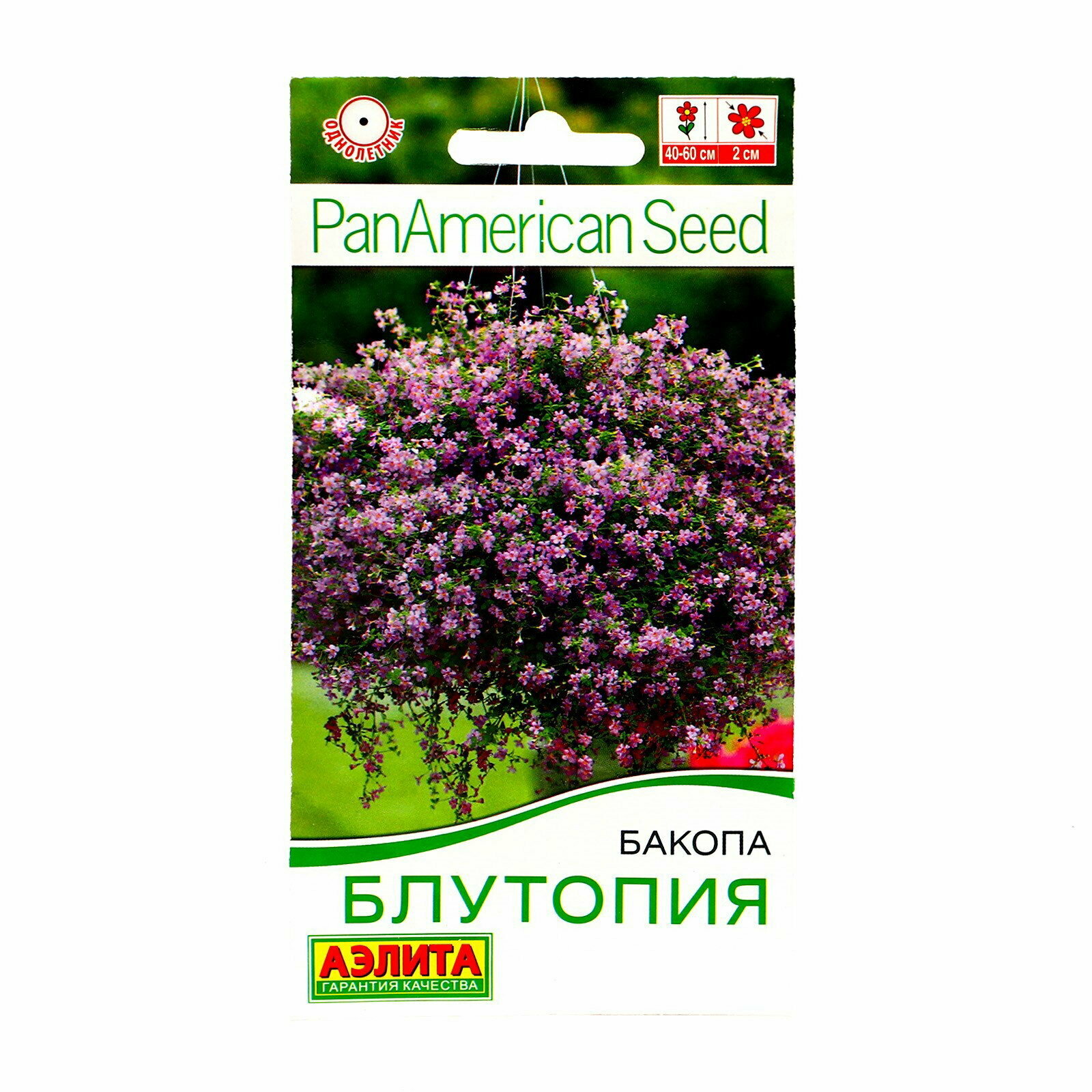 Семена Цветов Бакопа Блутопия --- Одн, цветение период: август