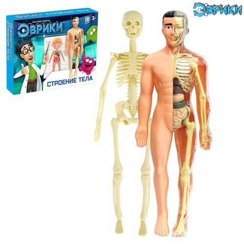 Эврики Набор для опытов и экспериментов Строение тела