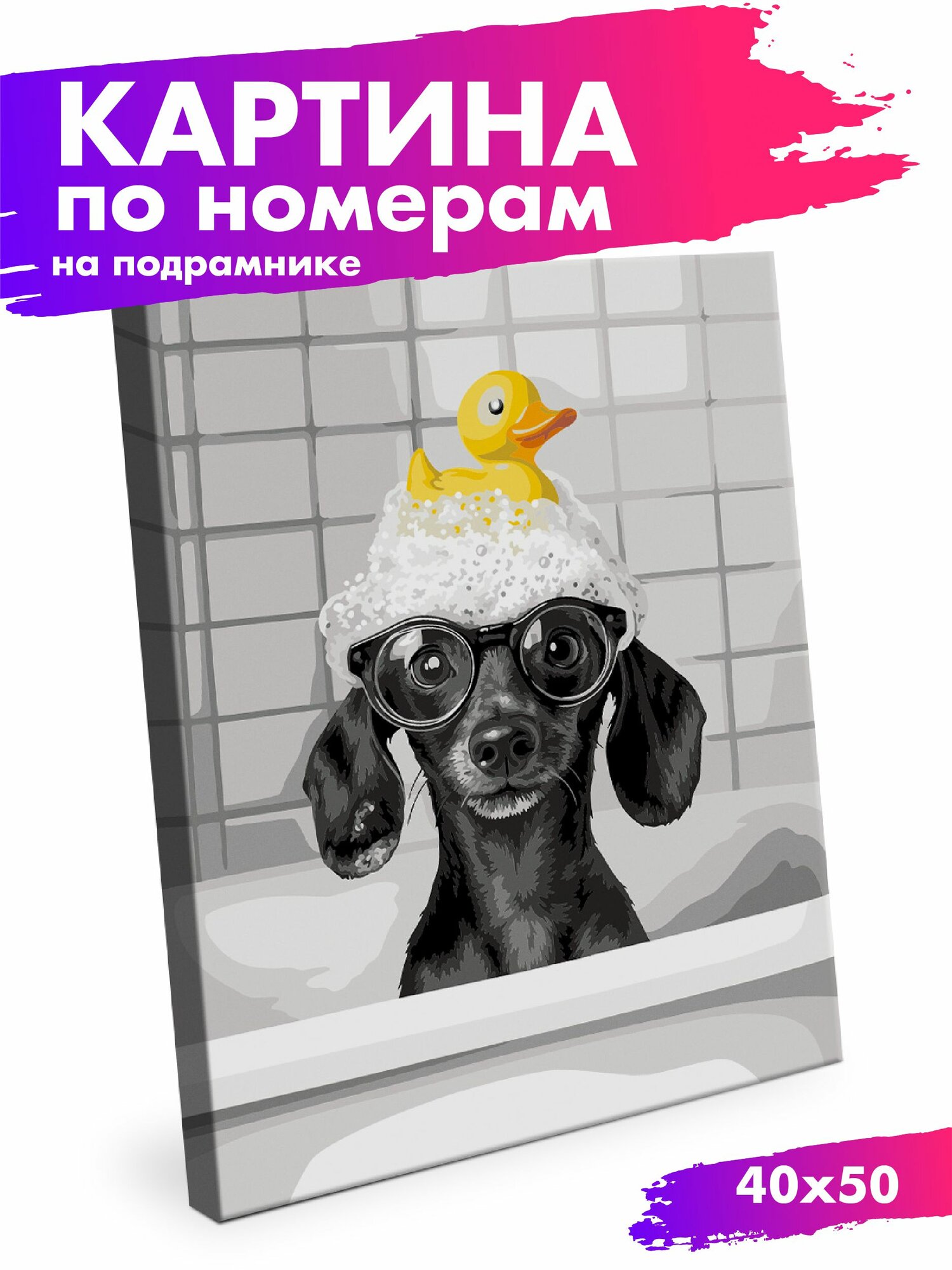 Картина по номерам на холсте 40х50 на подрамнике "Купание таксы" MP-PNB-007