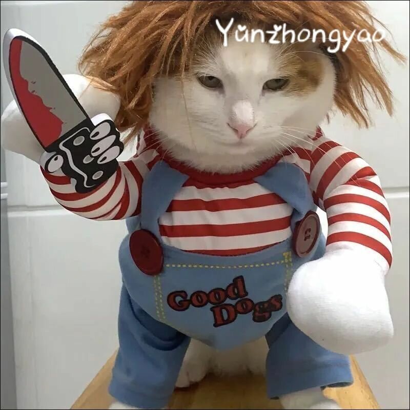 Одежда для животных