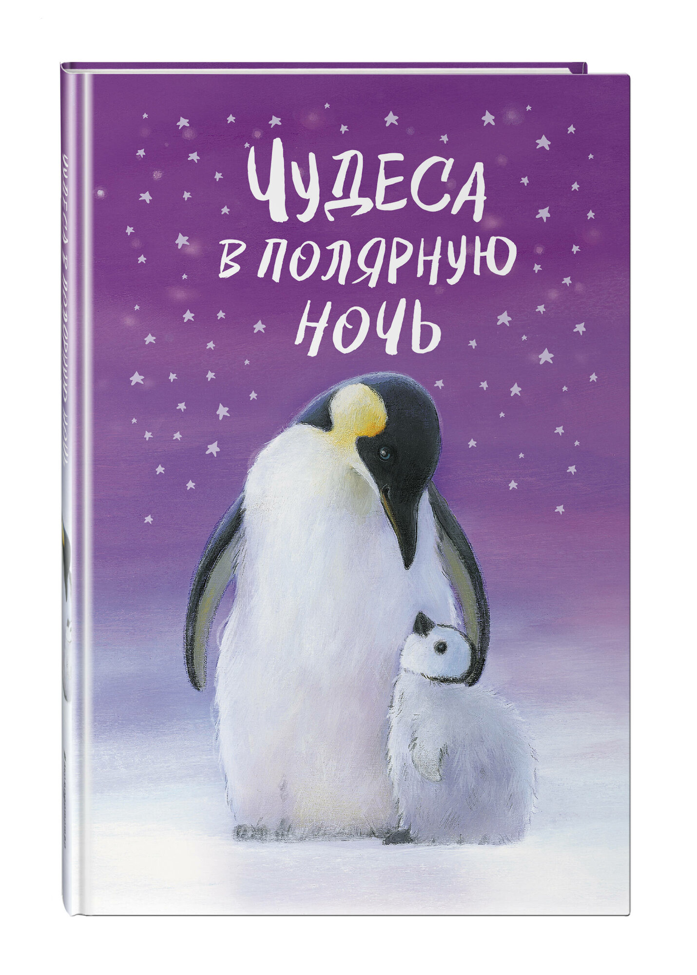 Холли Вебб и др. Чудеса в полярную ночь