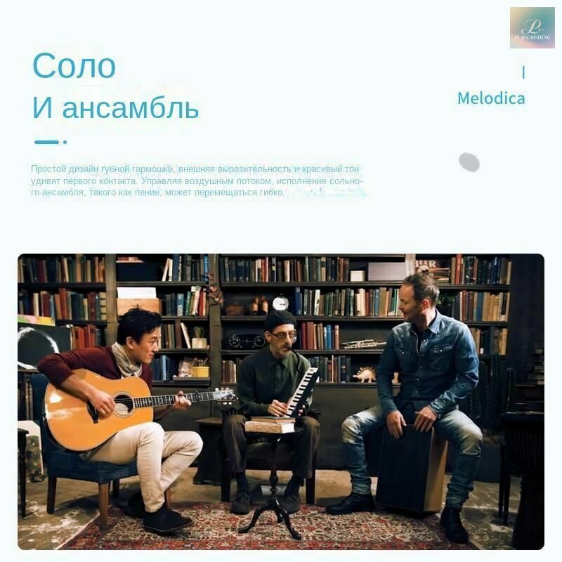 Мелодика — фото 1