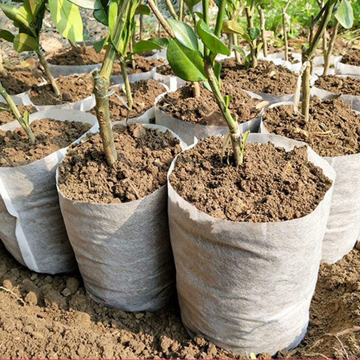 100 шт./упак. биоразлагаемые нетканые мешки для рассады, ткань, экологически чистая посадка