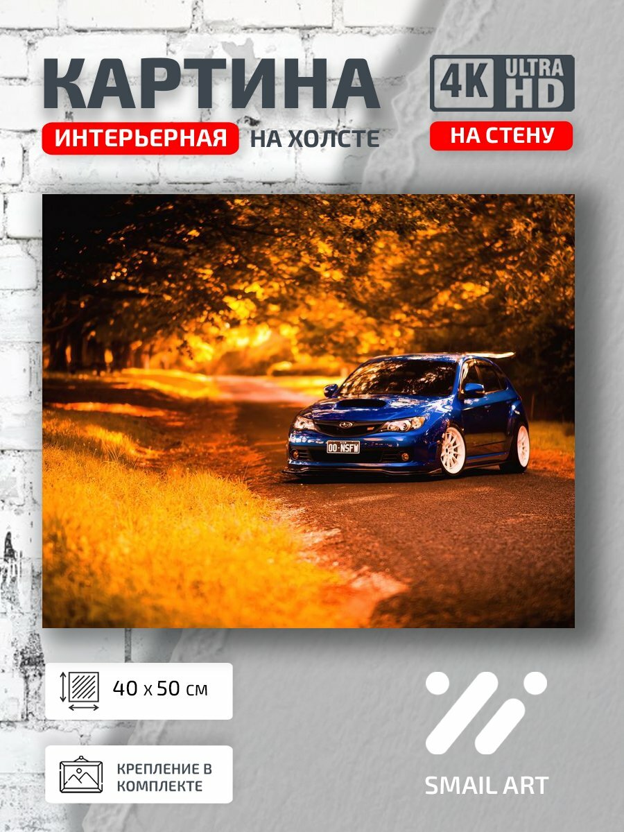 Картина на холсте интерьерная 40 на 50 на стену Дороге subaru для киномана авто дизайн
