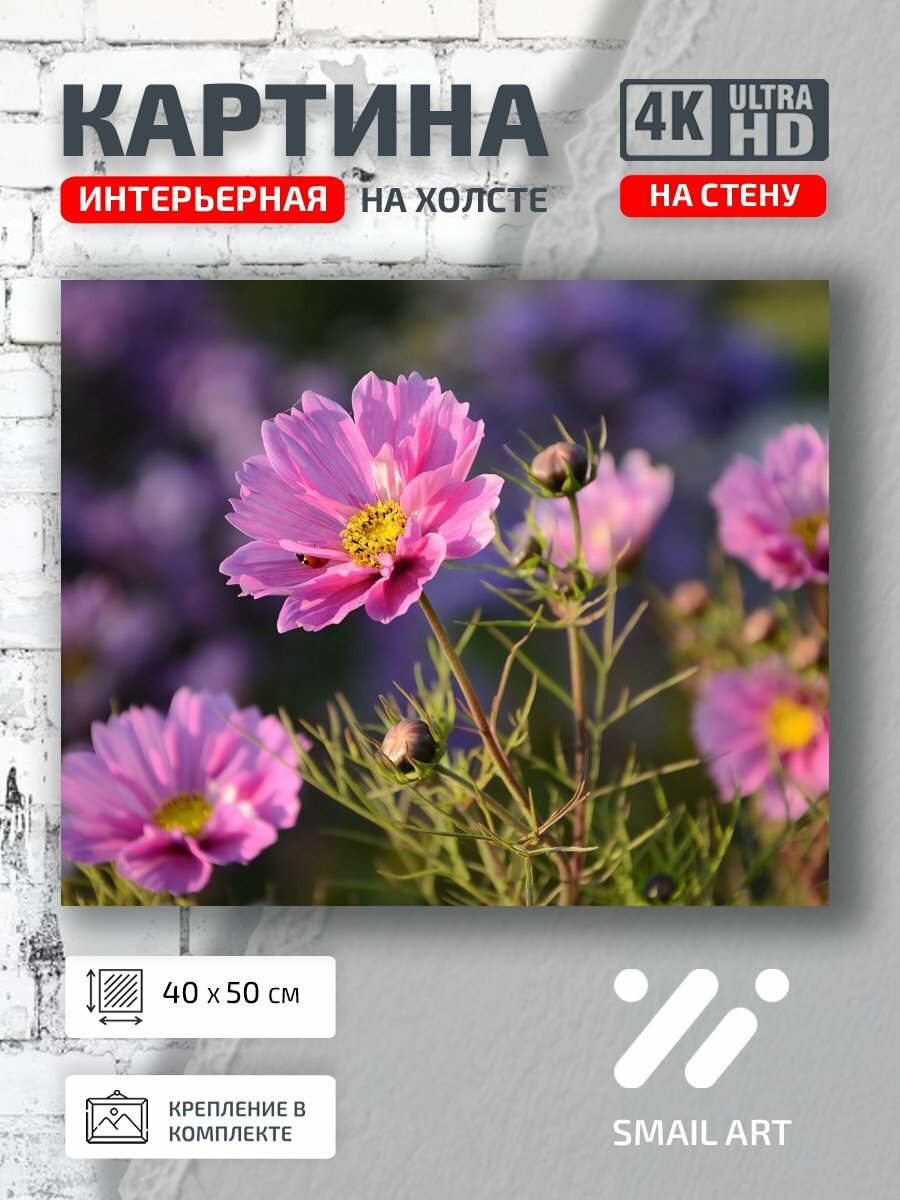 Картина на холсте интерьерная 40 на 50 на стену Космея Landscape для кабинета пейзаж декор