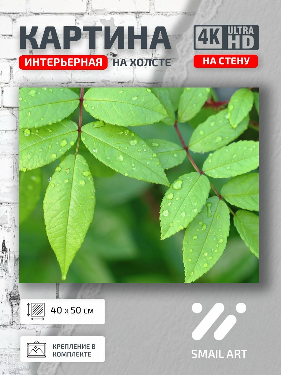Картина на холсте интерьерная 40 на 50 на стену Капли Landscape для гостиной пейзаж декор
