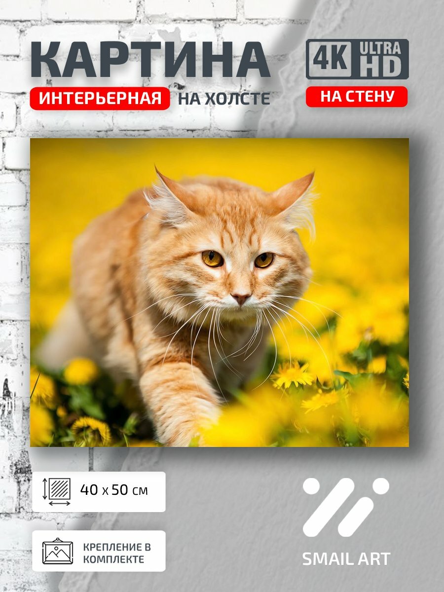 Картина на холсте интерьерная 40 на 50 на стену Одуванчики Animal для кабинета animal style