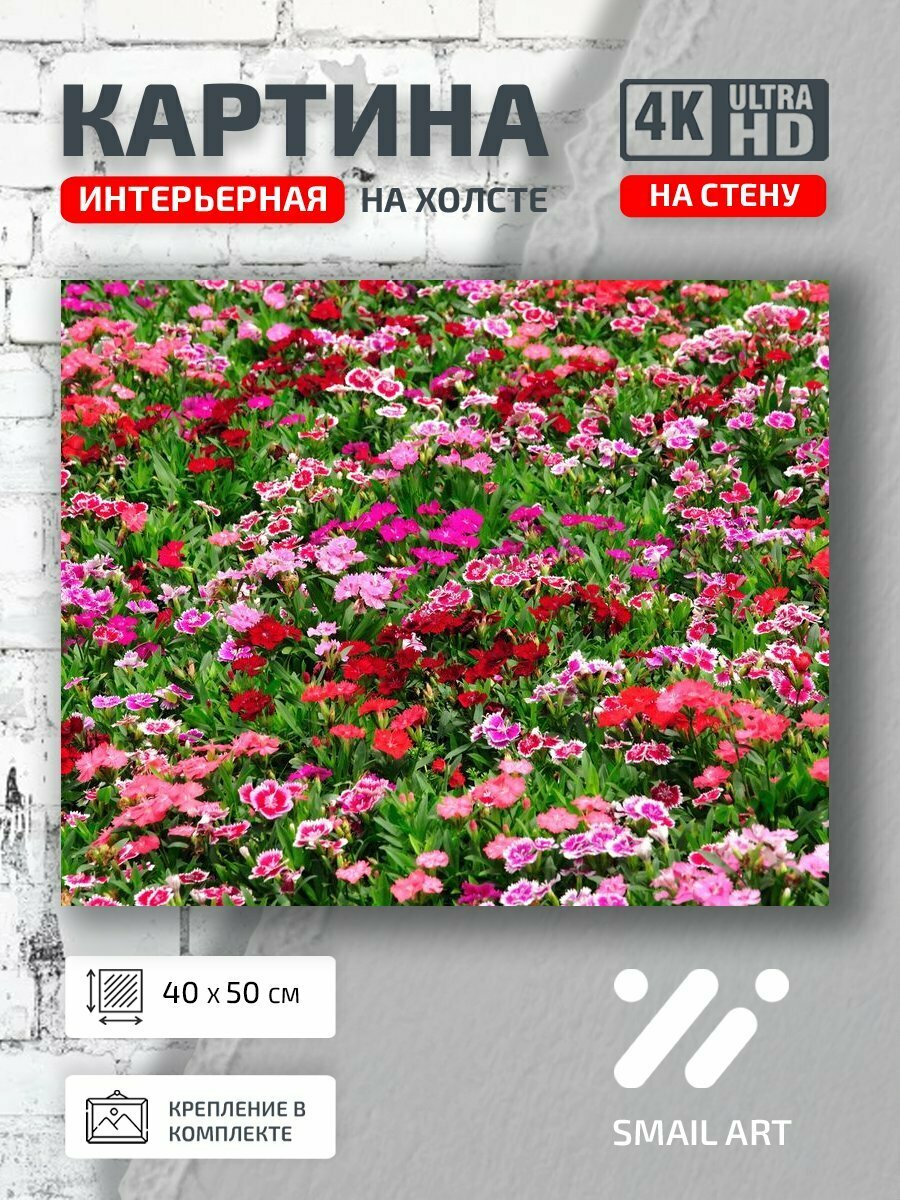 Картина на холсте интерьерная 40 на 50 на стену Поляна glade для студии атмосфера интерьер
