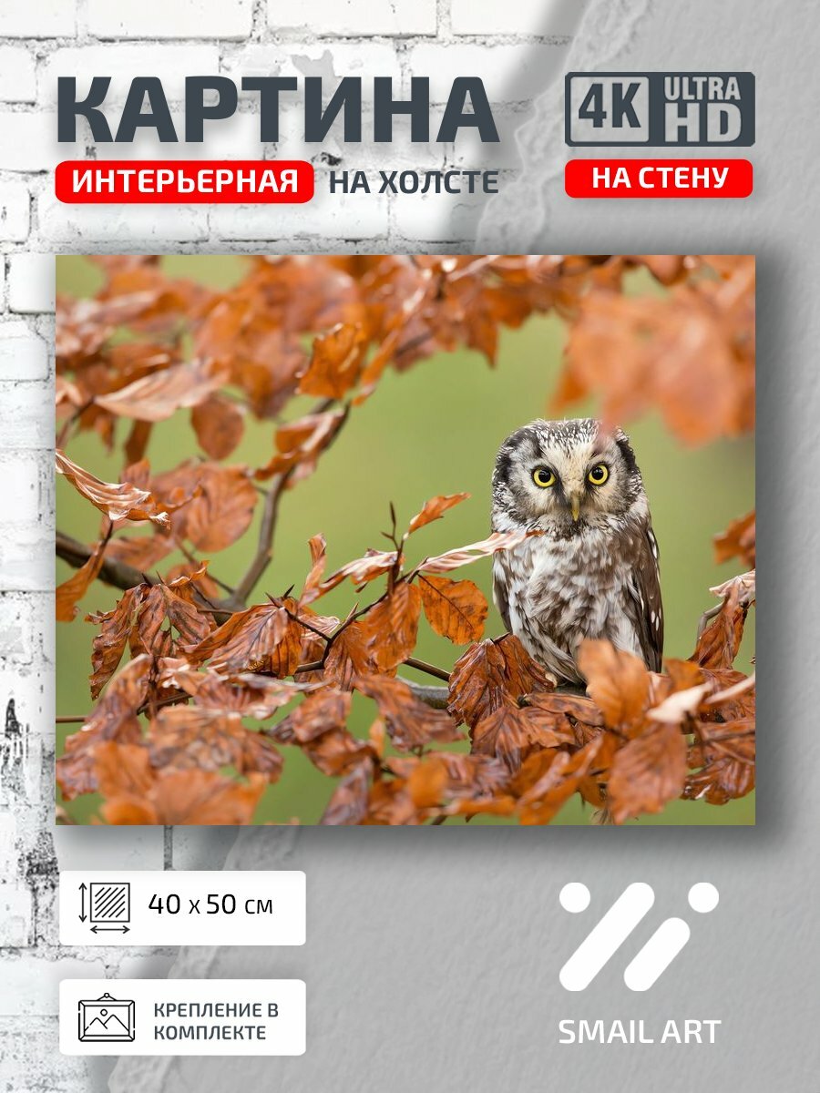 Картина на холсте интерьерная 40 на 50 на стену Листья Landscape для гостиной пейзаж декор