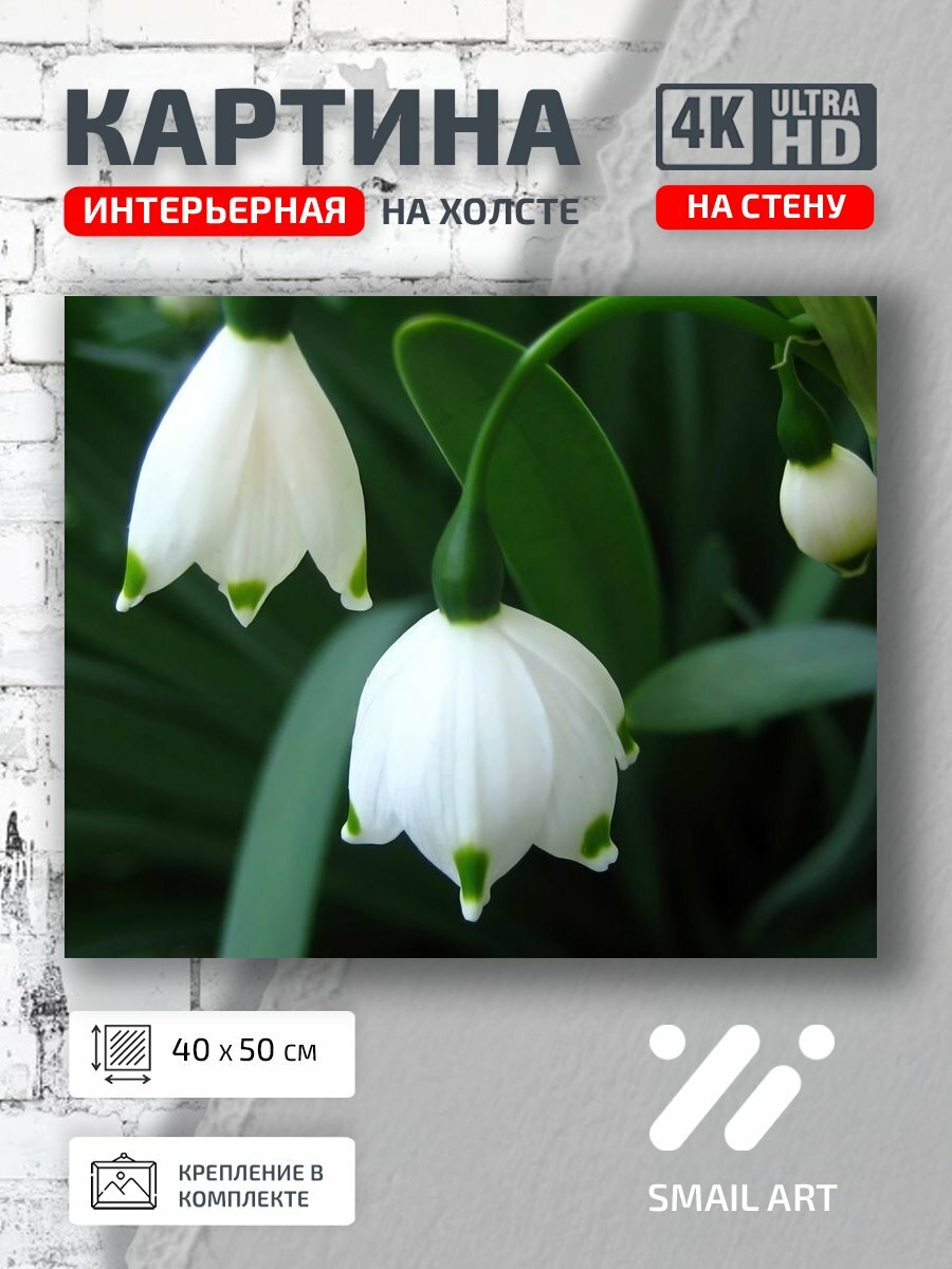Картина на холсте интерьерная 40 на 50 на стену Белые Mood для студии атмосфера интерьер