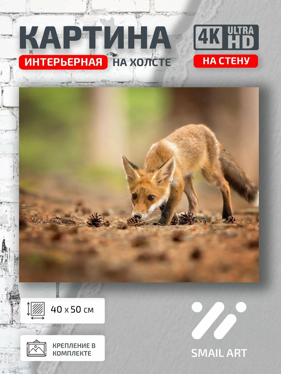 Картина на холсте интерьерная 40 на 50 на стену Лес Landscape для кафе пейзаж интерьер