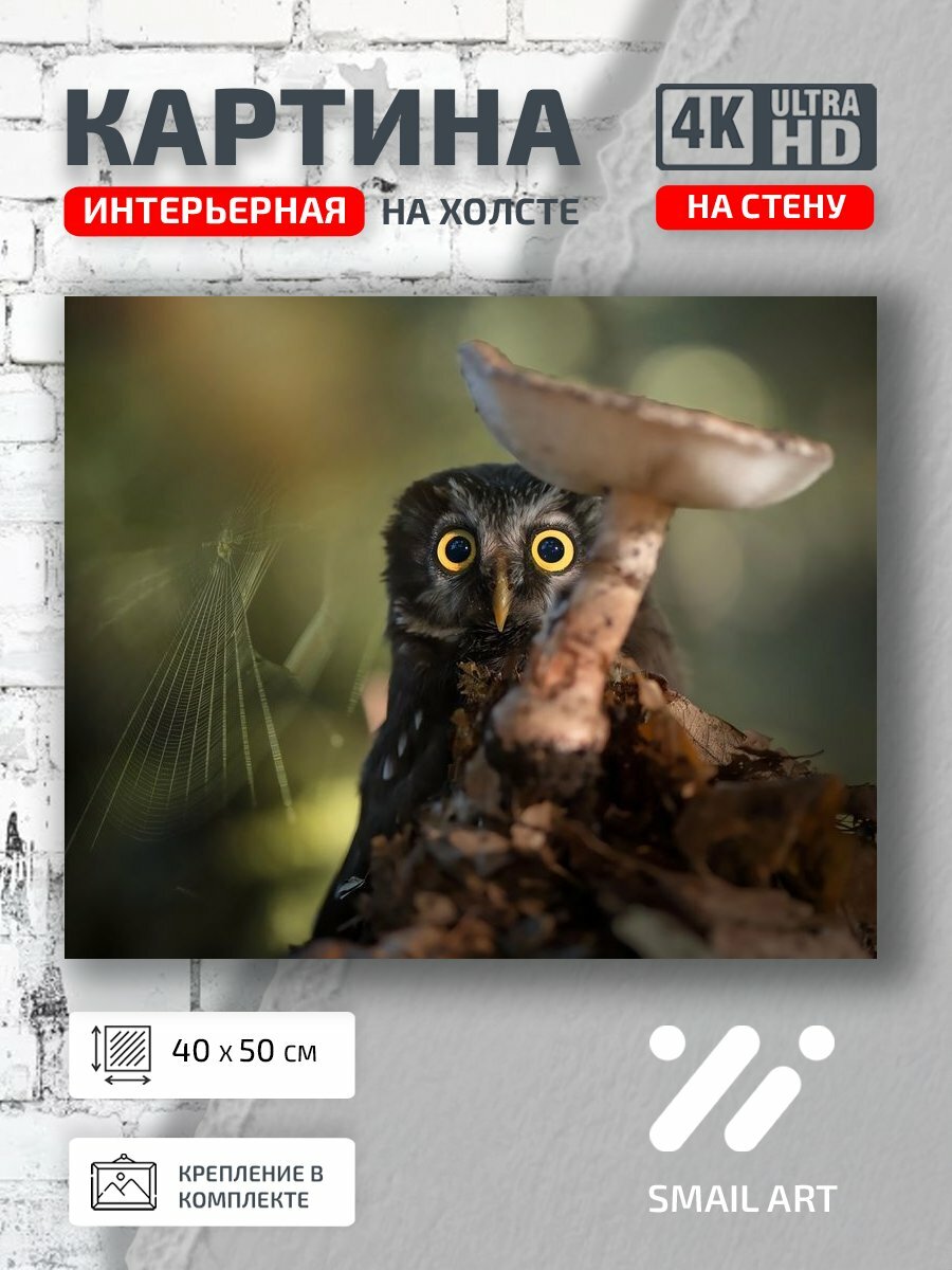 Картина на холсте интерьерная 40 на 50 на стену Паутина Animal для детской animal style