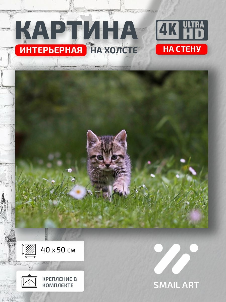 Картина на холсте интерьерная 40 на 50 на стену Цветы Animal для спальни animal style декор