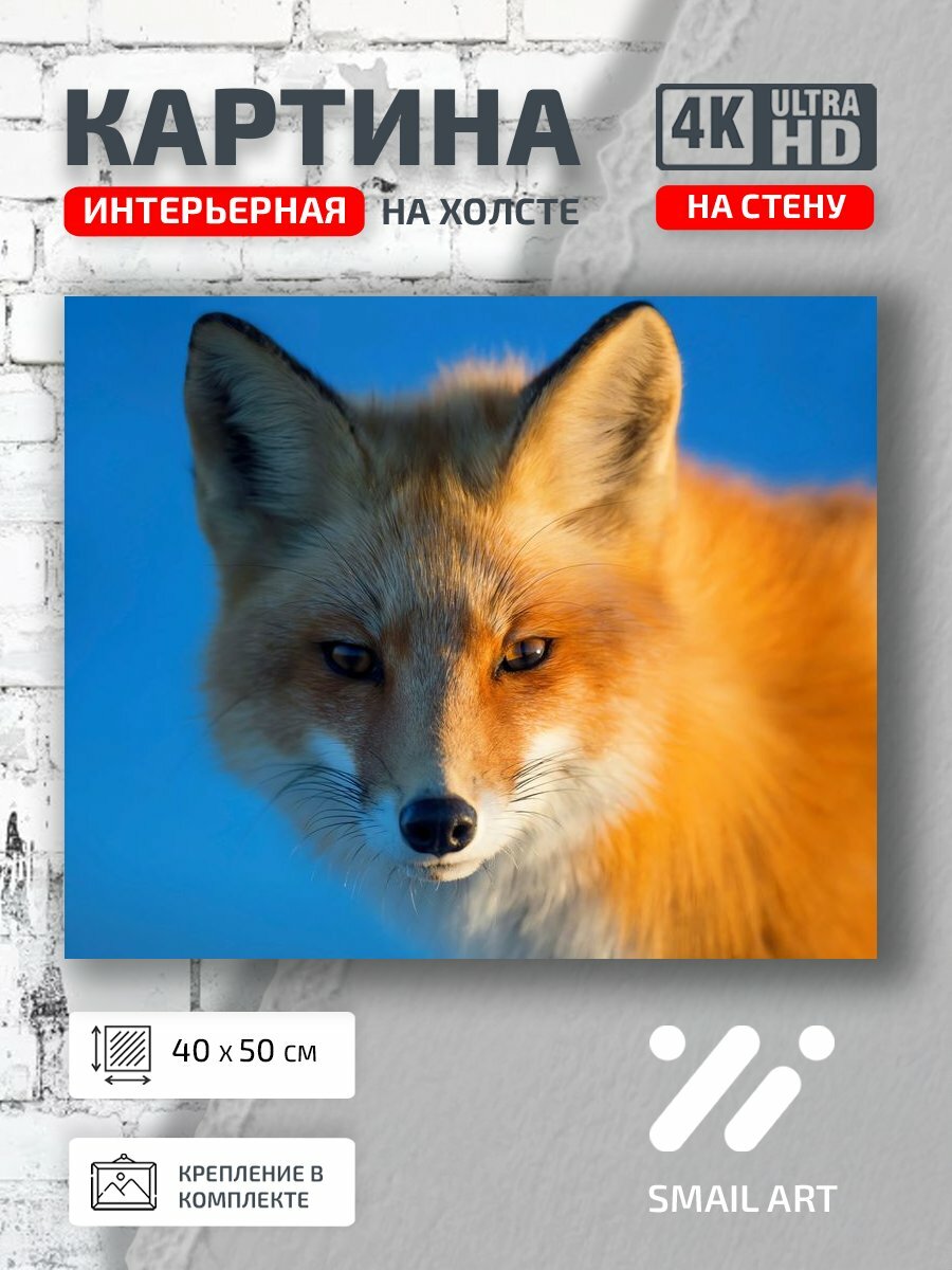 Картина на холсте интерьерная 40 на 50 на стену Рыжая Animal для кабинета animal style