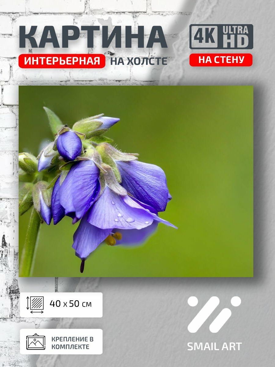 Картина на холсте интерьерная 40 на 50 на стену Капли Mood для кабинета атмосфера интерьер