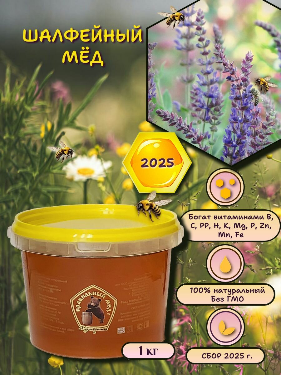 Мёд натуральный Шалфейный 1000гр. (сбор 2025г.), Правильный мёд