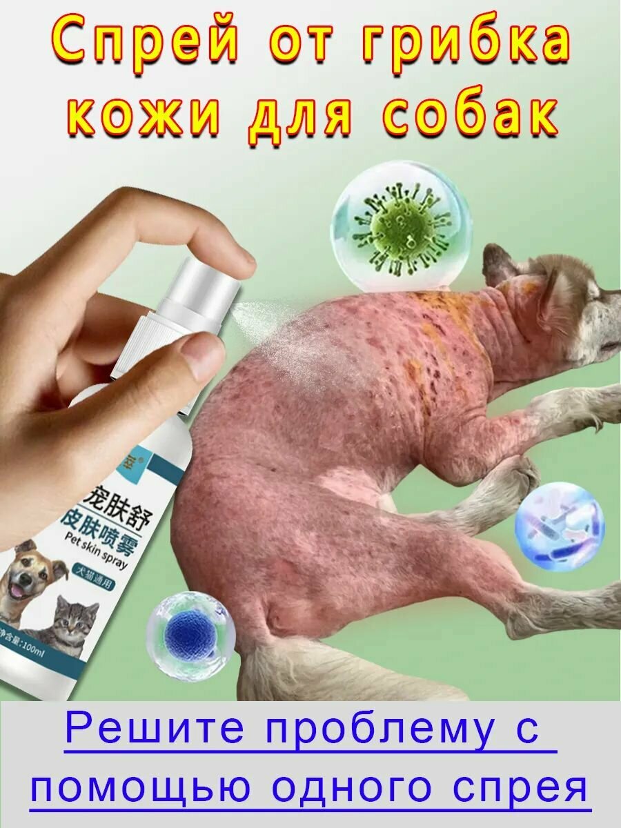 Спрей для лечения кожных заболеваний собак используется при зуде, 100 мл.