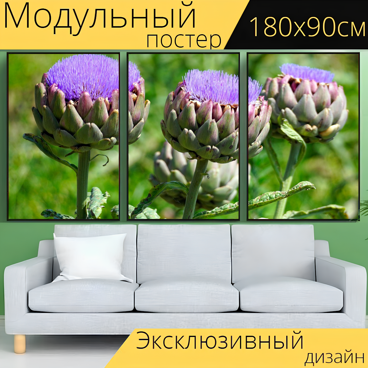 Модульный постер "Артишоки, цвести, овощи" 180 x 90 см. для интерьера на стену в тубусе