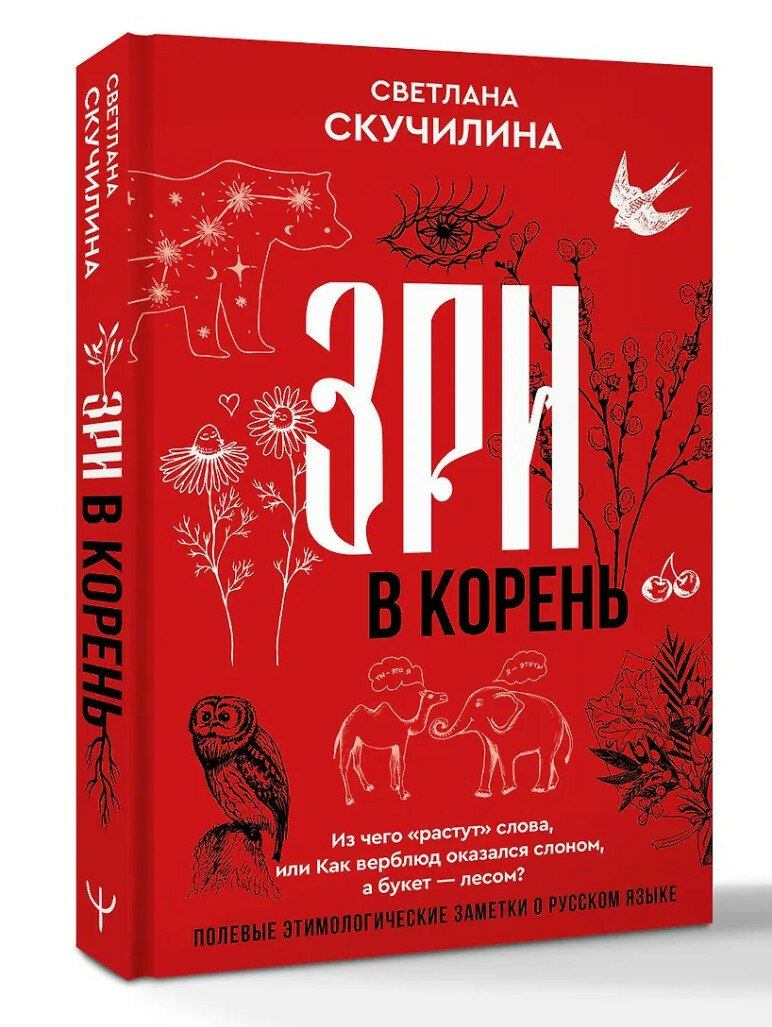 Зри в корень! Из чего «растут» слова, или Как верблюд оказался слоном, а букет – лесом?