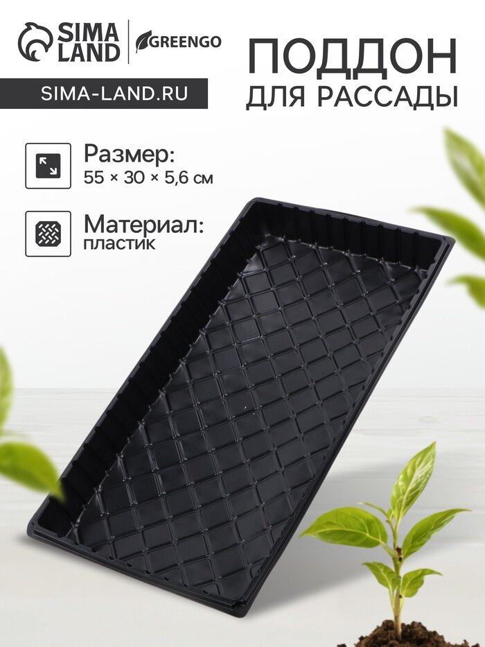 Поддон для рассады, 55×30×5.6 см, пластик, чёрный, дно микс, Greengo