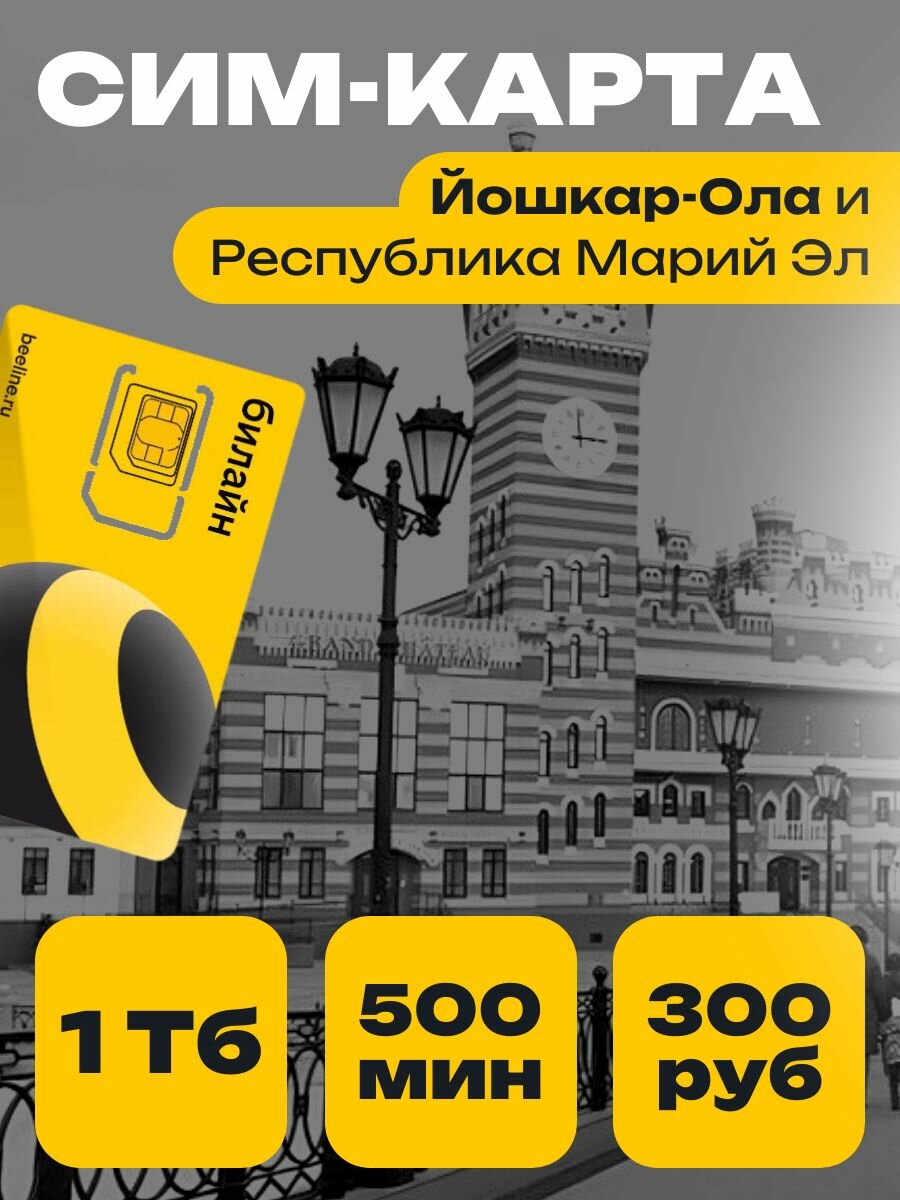 Сим-карта Билайн тариф Эксклюзивный Республика Марий Эл 1000 Гб + 500 минут за 300 руб.