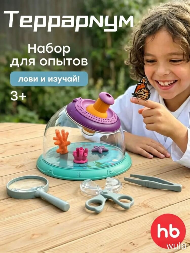 Набор для изучения насекомых
