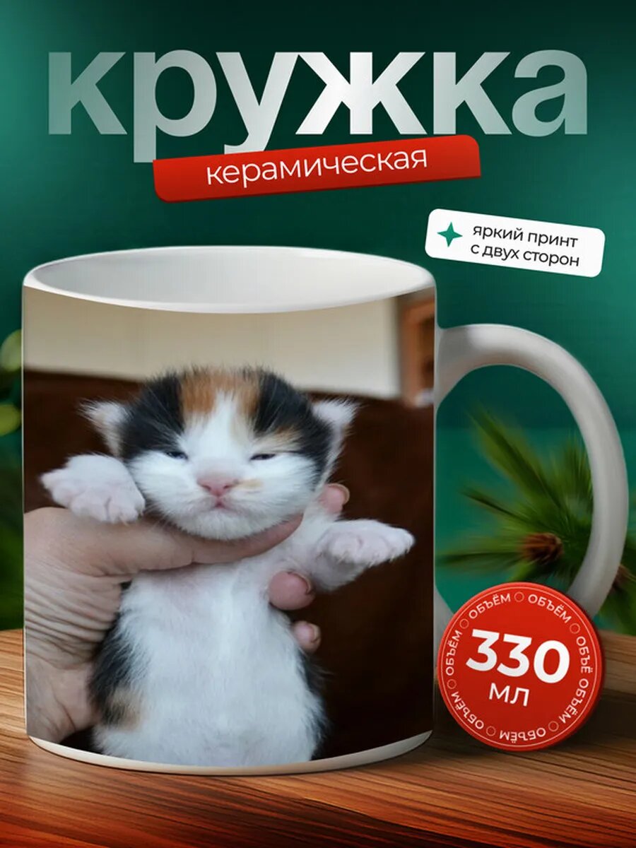 Кружка Триколорная манчкин кошка 24,