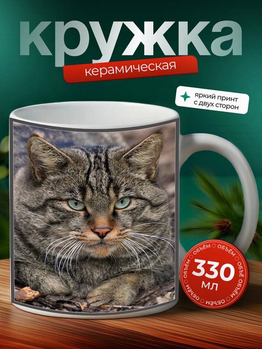 Кружка Венгерский болотный кот 37,