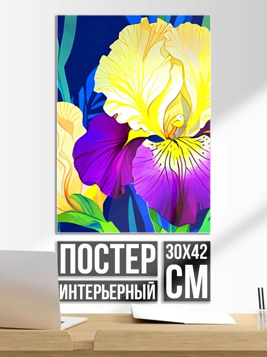 Постер на стену Разноцветные ирисы