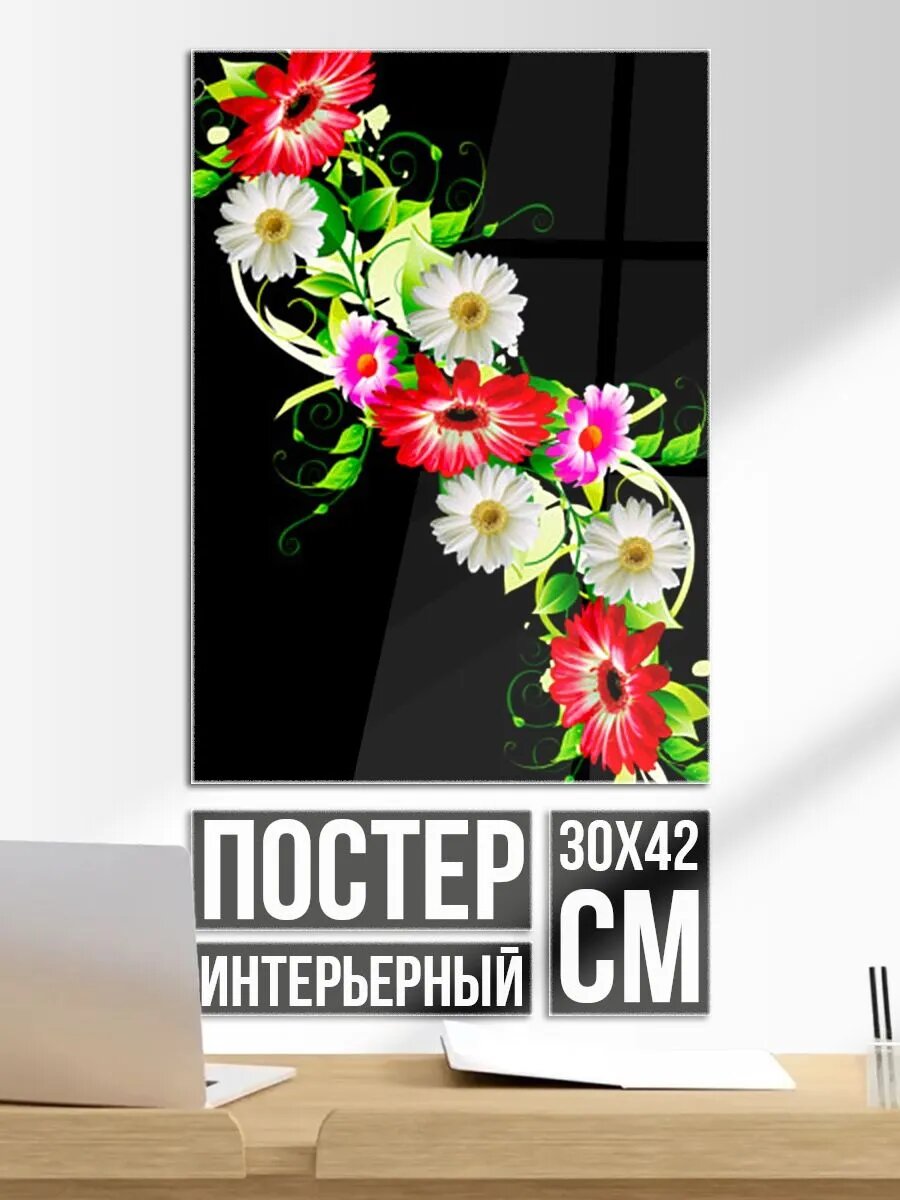 Постер на стену Яркие цветные хризантемы