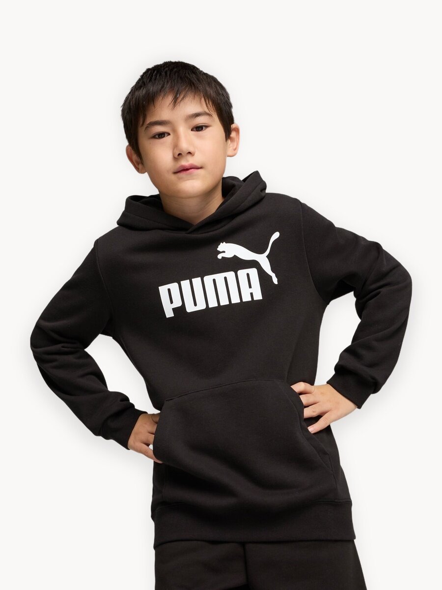 Худи ESS No. 1 Logo Hoodie TR B