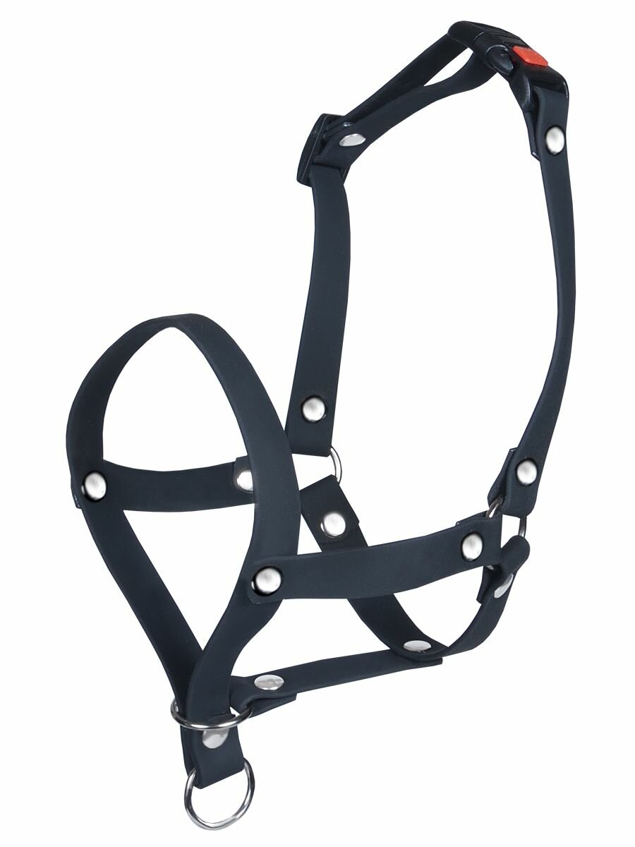 Недоуздок (халти) корректор для собак CHOKERZ биотановый. Обхват морды 20-30 см, шеи - 40-50.