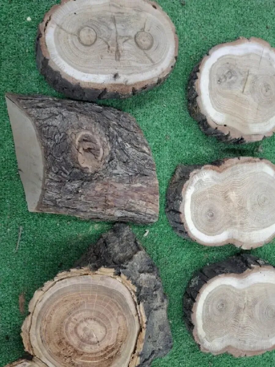 Спил срез слэб дерева дуб (240-220-100 мм)