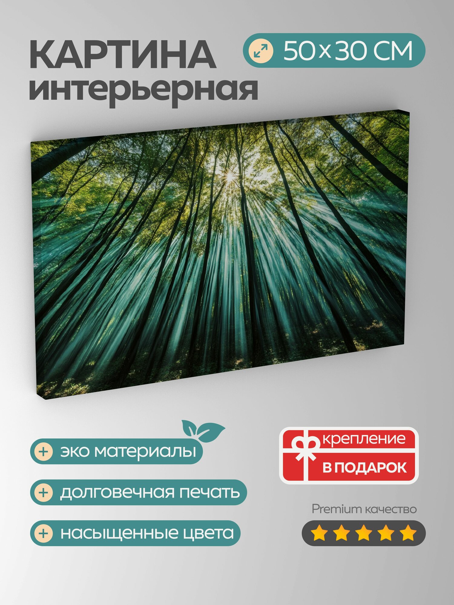 Картина на холсте интерьерная 50х30 см, солнечный свет, лес, узоры света, тени, подстилка, абстрактная, завораживающая