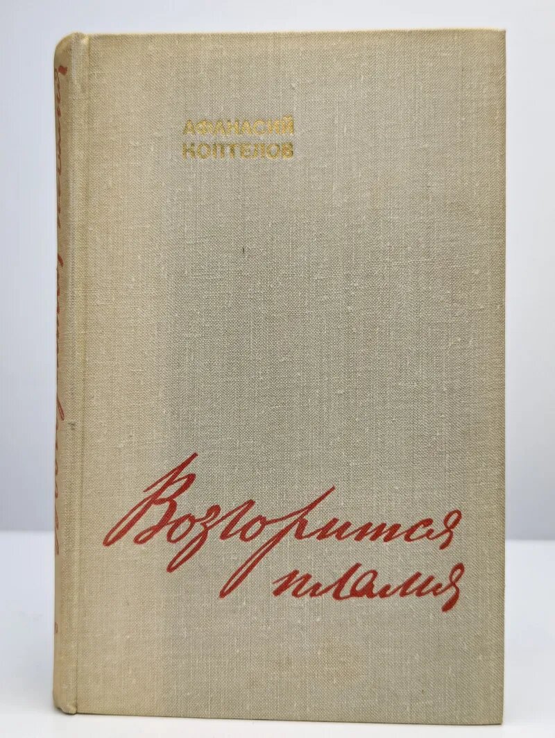 Возгорится пламя. Книга 1